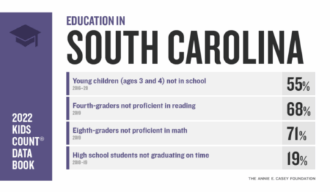 Expert Perspectives: Exploring Why South Carolina Ranks 43rd in ...
