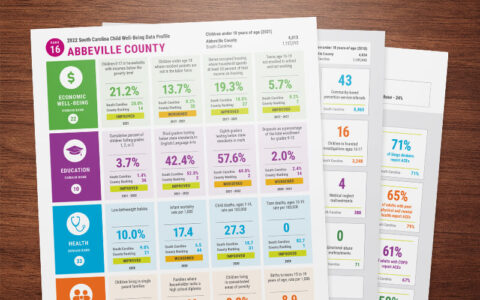 County Data Profiles - Children's Trust of South Carolina